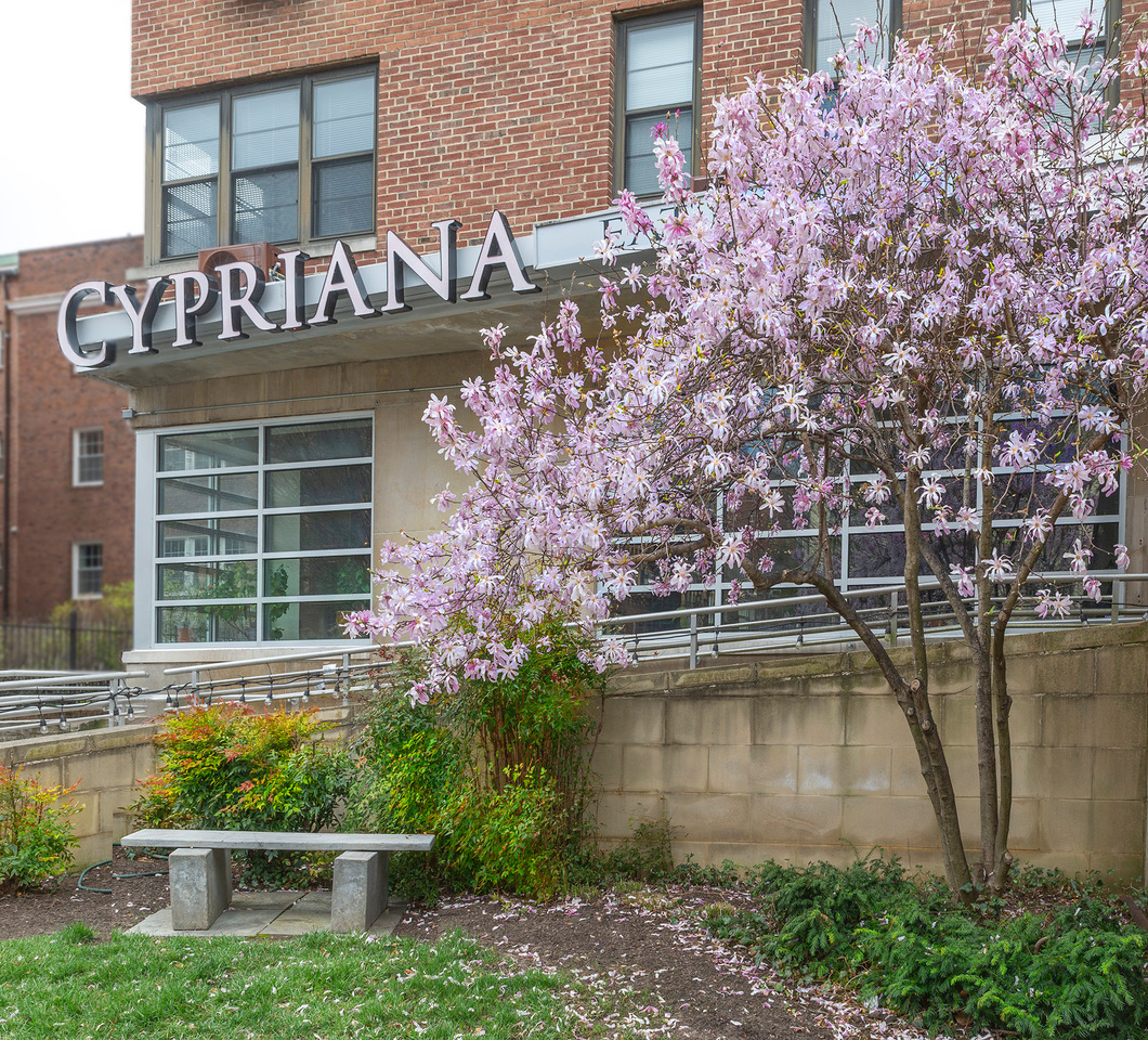 Cypriana Restaurant – Tuscany Canterbury